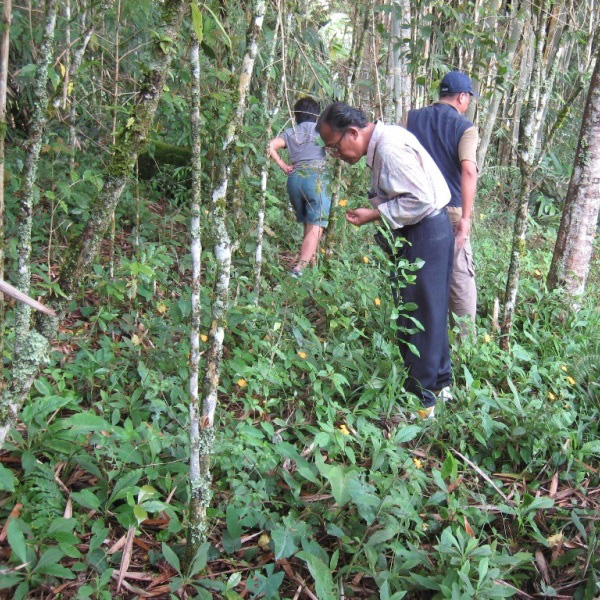 Sakata Seed Corporation Recognized with the Intellectual Property ...